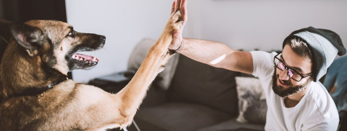 How Technology Can Help Build Client Trust in Veterinary Medicine - The ...