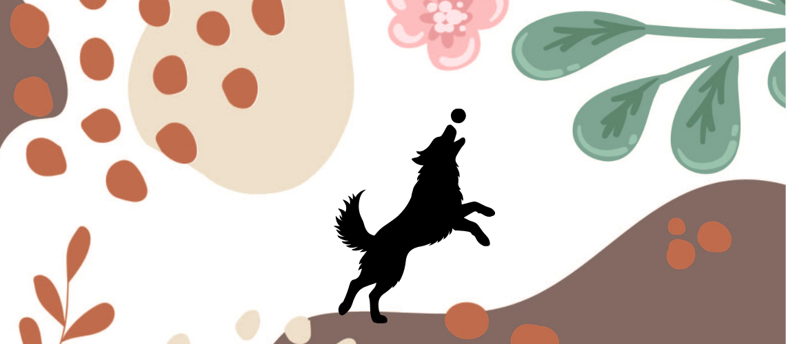 Veterinary Business Management 101: What Practice Managers Need to Know ...