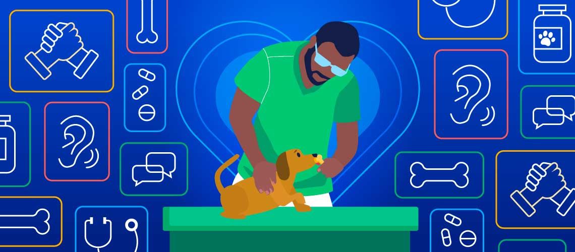 How To Help Vet Techs Build Stronger Communication Skills - The Vetiverse
