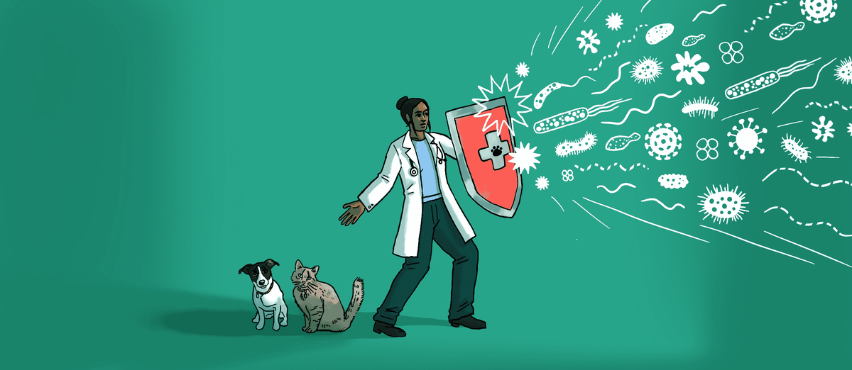 How Foster Veterinary Clinic Built a Successful Preventive Care ...