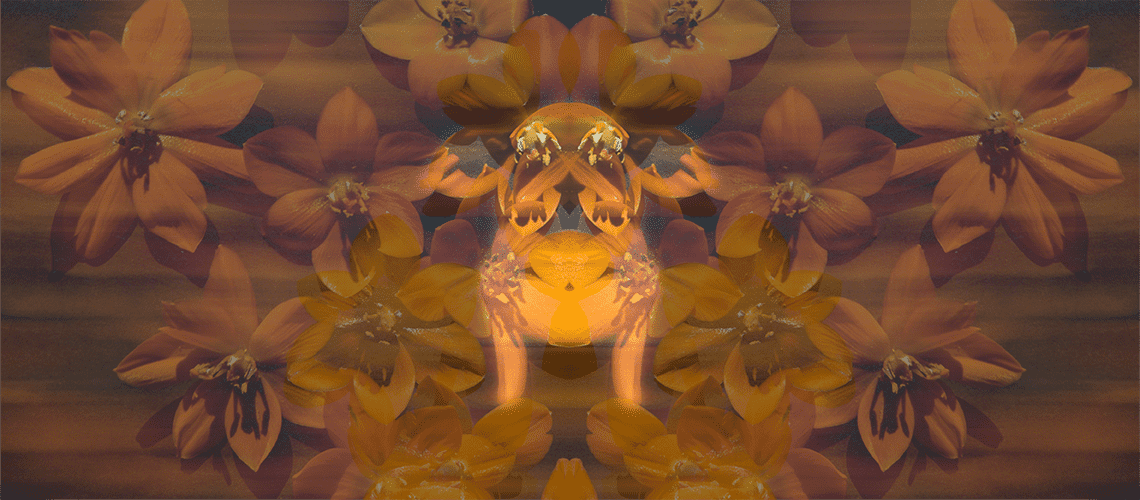 Why an Allergy Panel Is Not a Diagnostic but Rather a Therapeutic Tool ...