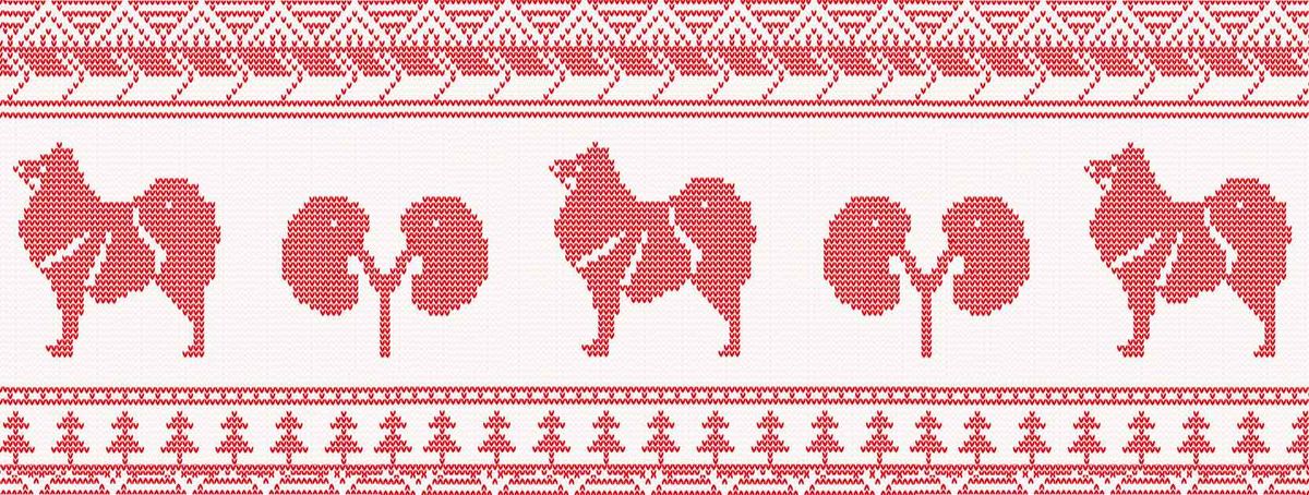 Chronic Kidney Disease and IRIS Staging: Ensuring Consistency of Care ...