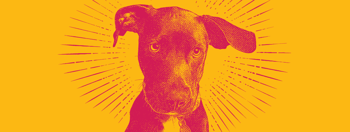 Why a Comprehensive CBC Should Be Included in All Wellness Visits - The ...