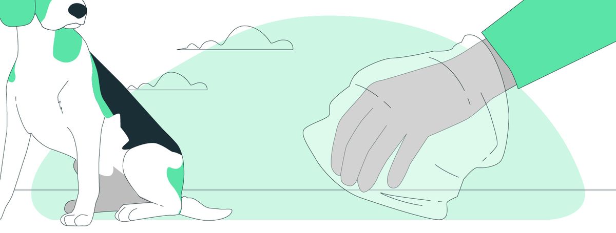 flea tapeworm antigen