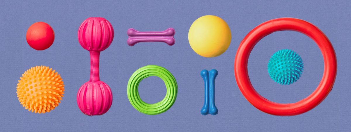 IRIS Staging of Chronic Kidney Disease in Pets for Improved Outcomes ...